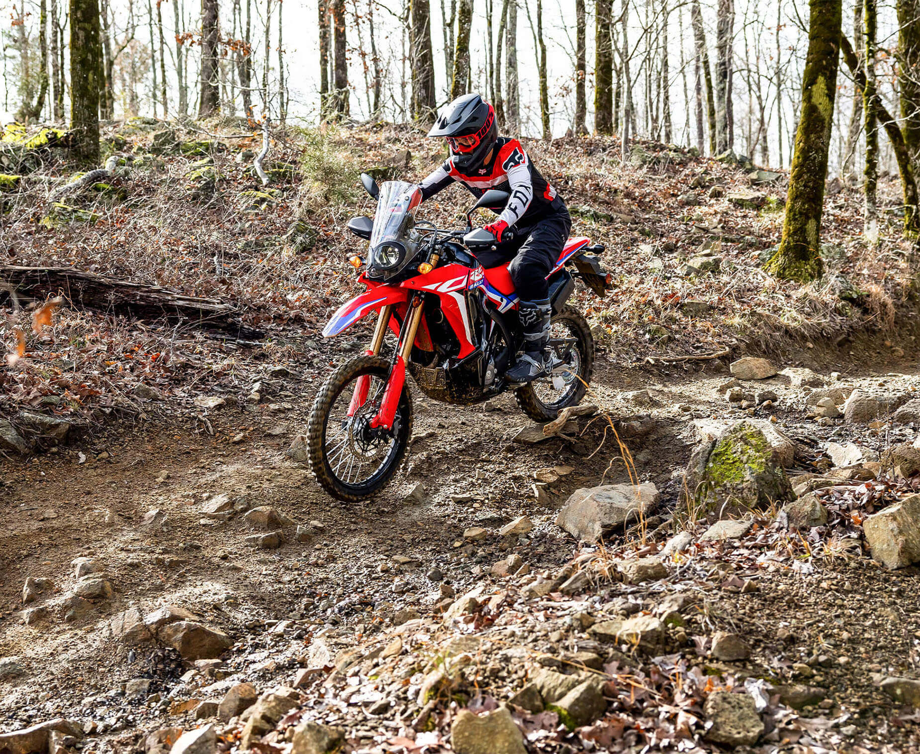 CRF300L Rally - Enduro Motorcycle – Honda