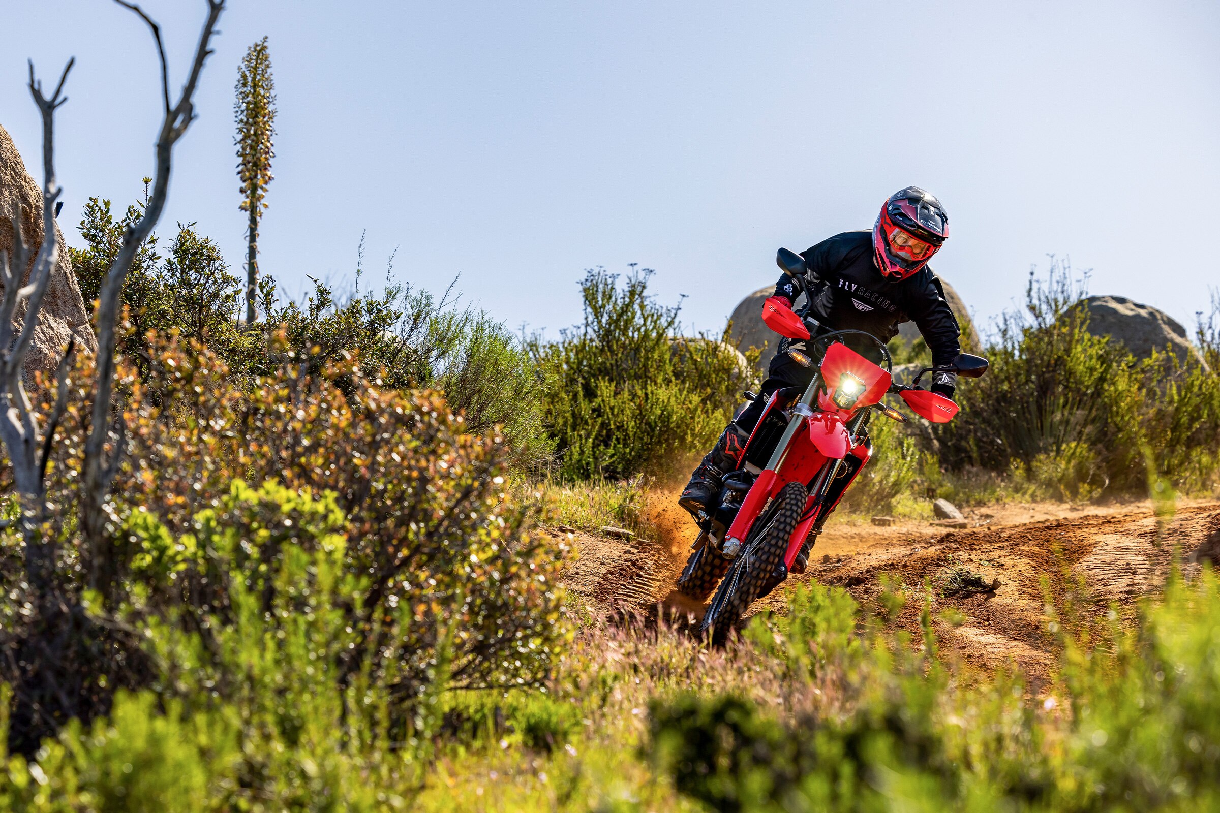 CRF450RL - 450cc Motorcycle - Honda