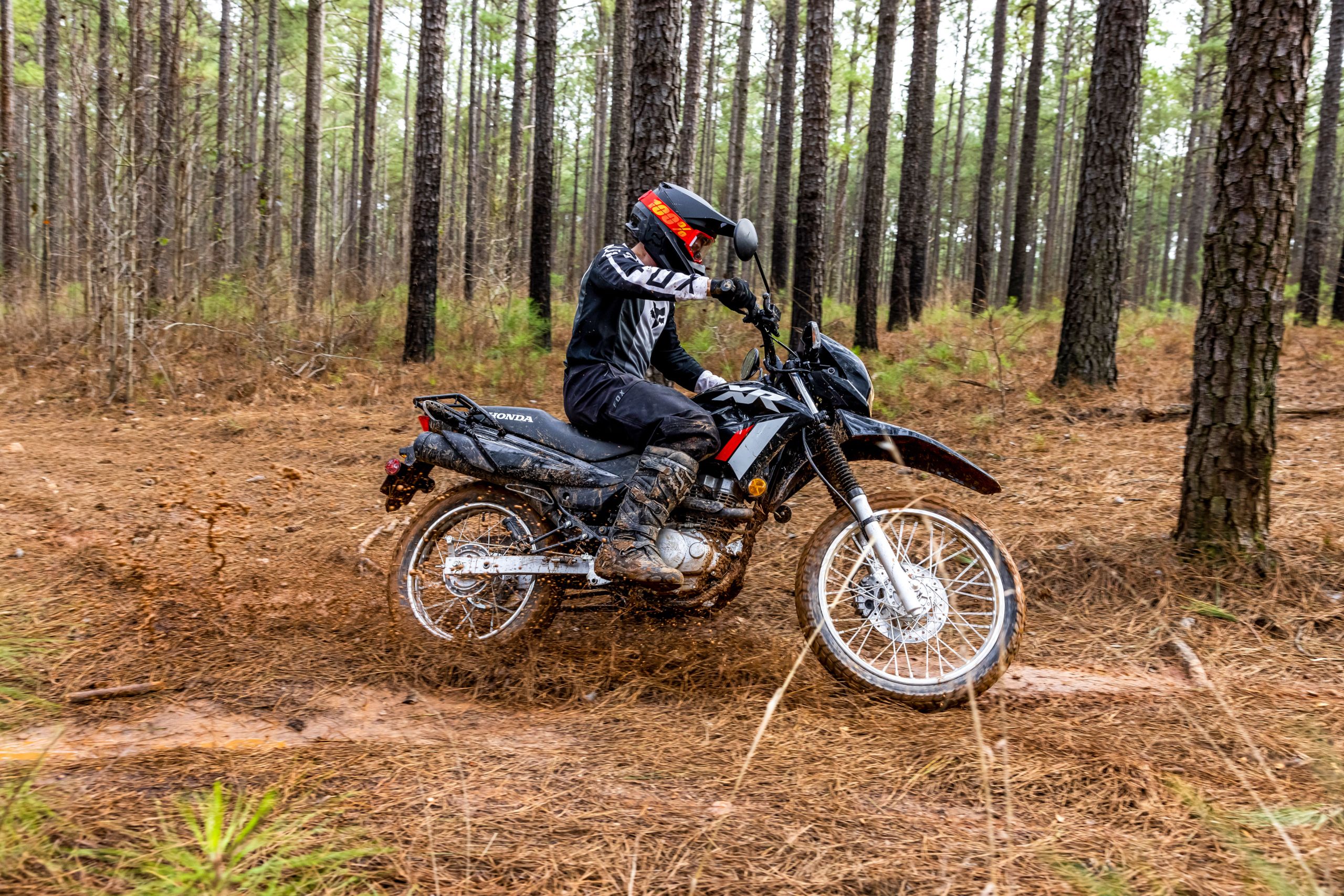 XR150L - Dual Purpose Motorcycle - Honda