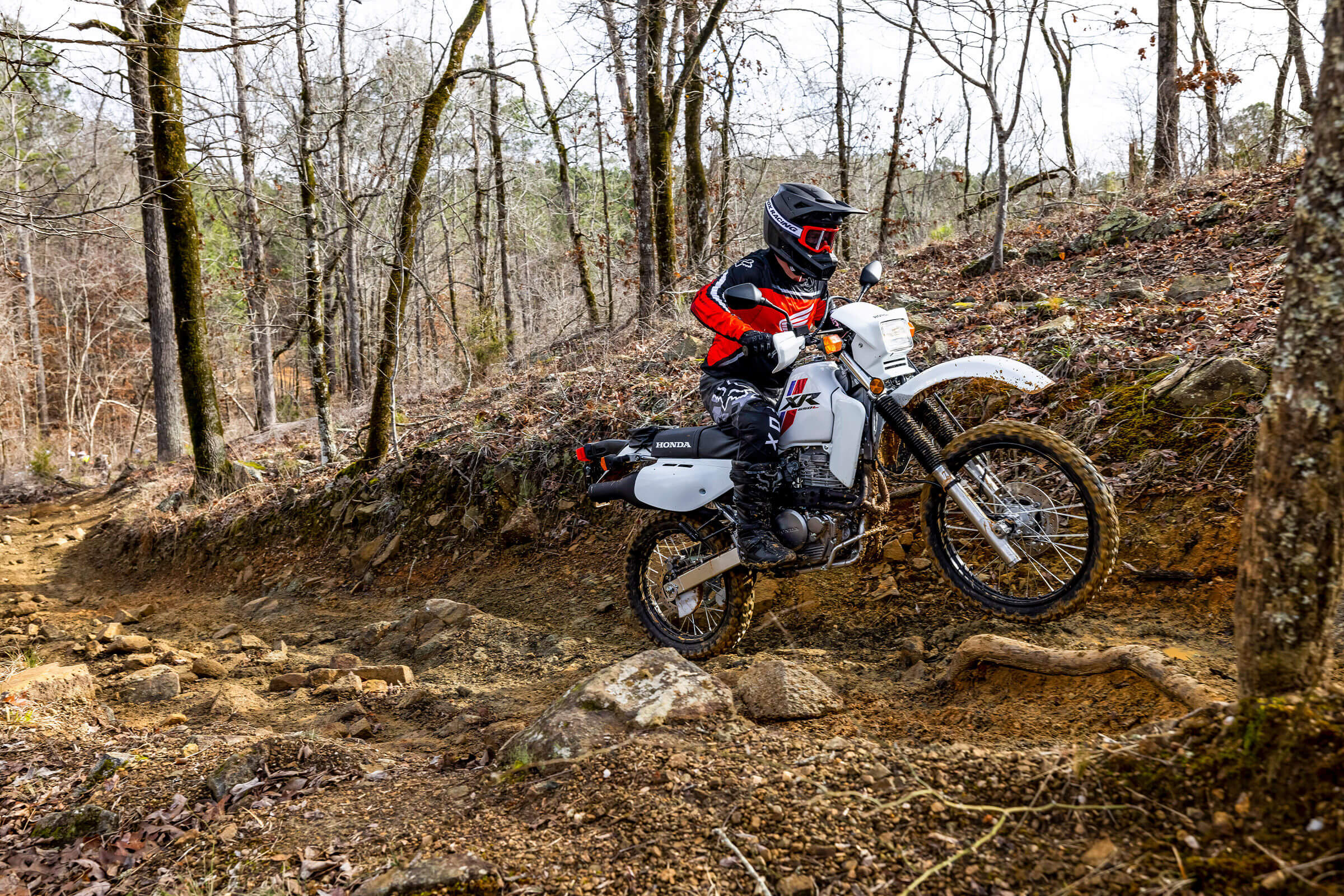 XR650L - Dual-Sport Motorcycle - Honda
