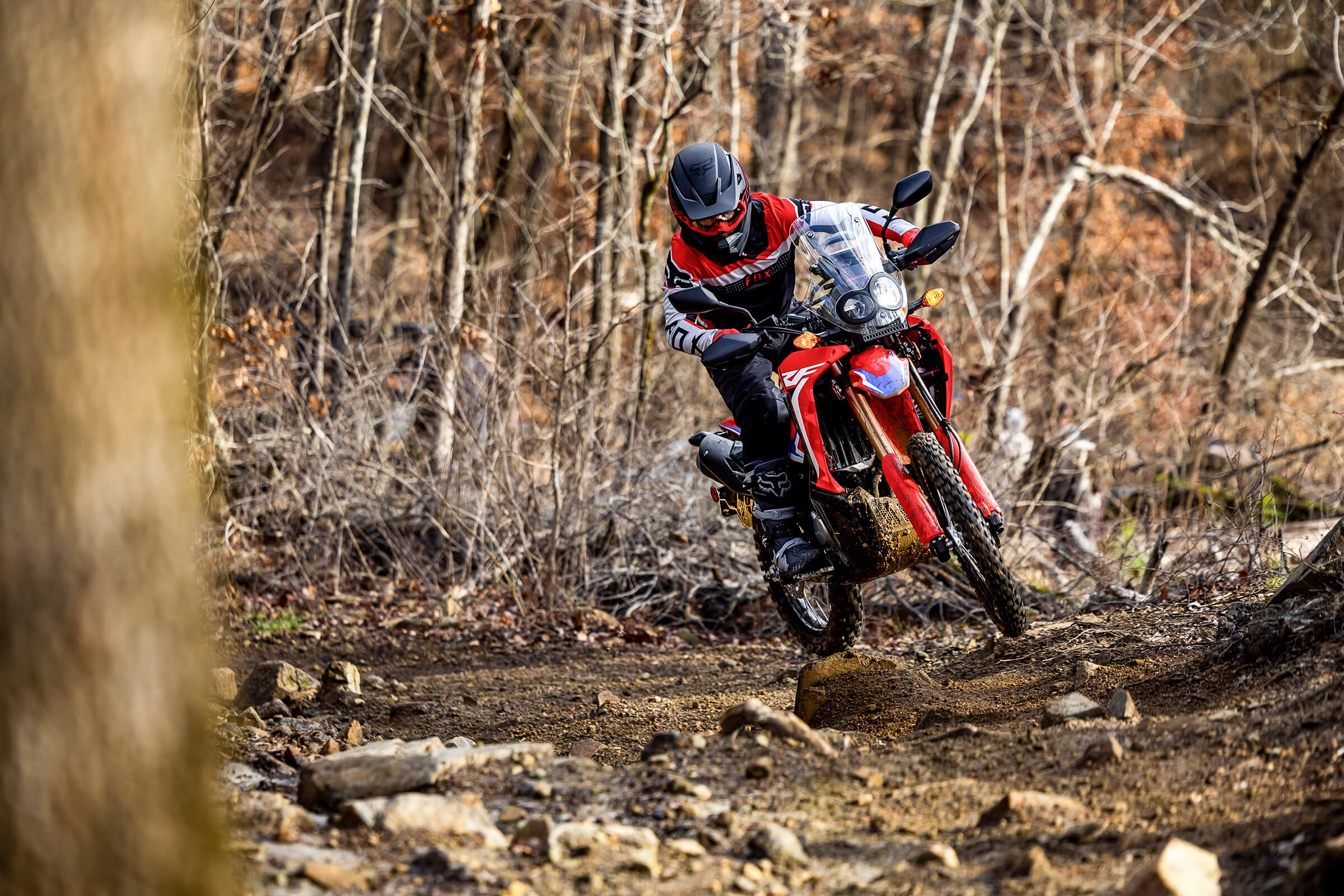 CRF300L Rally - Enduro Motorcycle – Honda