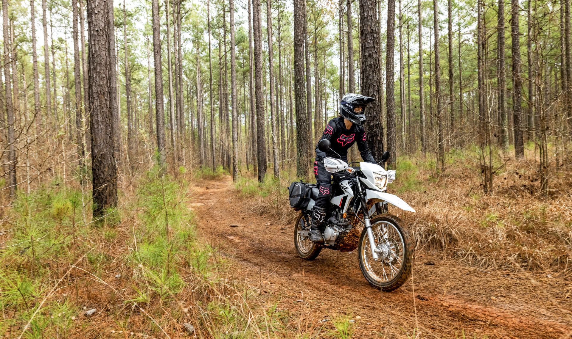 2024 Honda XR150L | Dual Sport Motorcycles | Honda Powersports