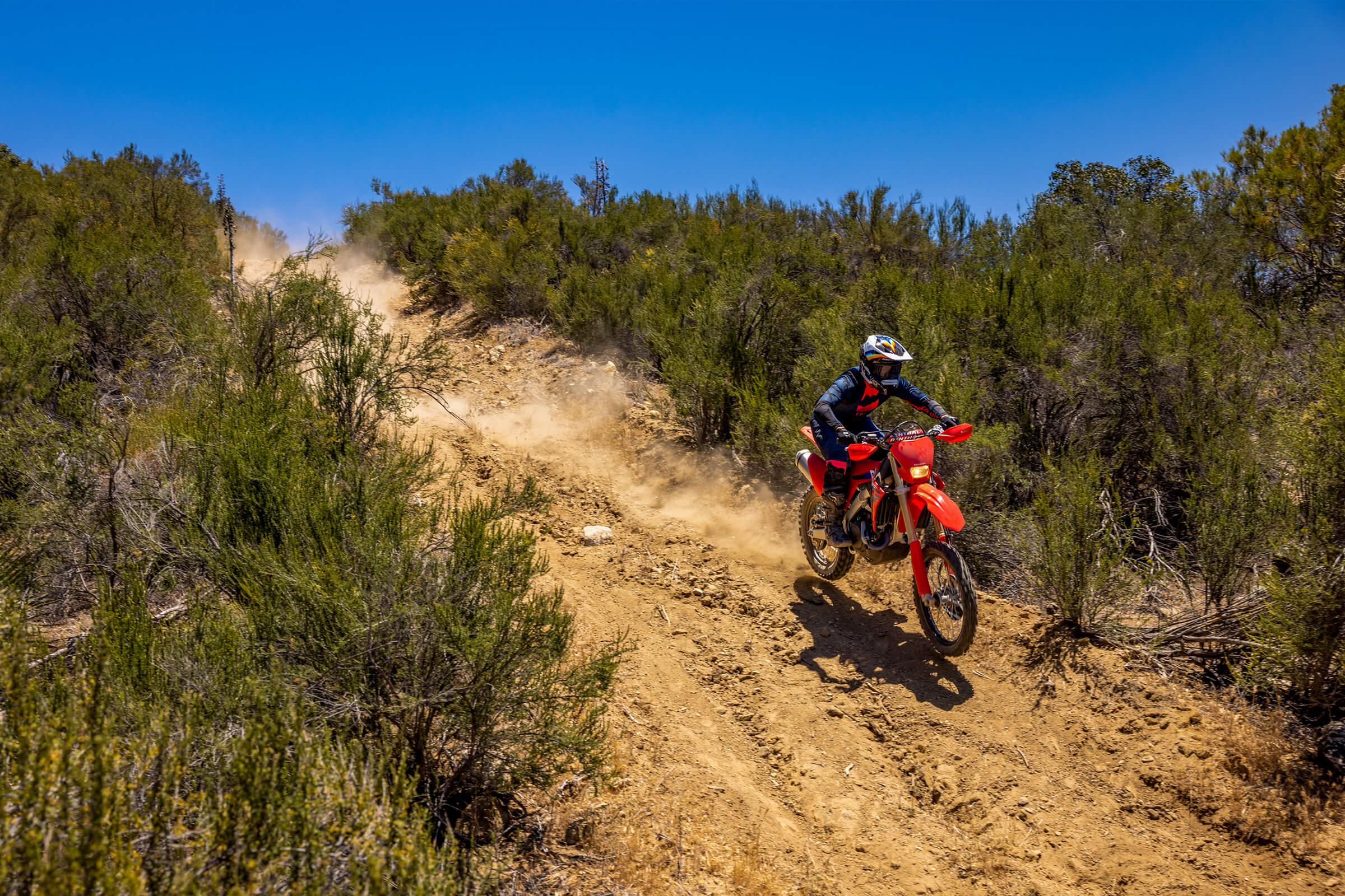 CRF450X - Enduro Bike - Honda